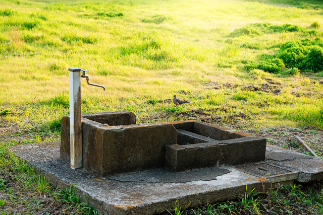 強行採決濃厚な「水道民営化」法案について改めて考えてみた | ハーバー・ビジネス・オンライン